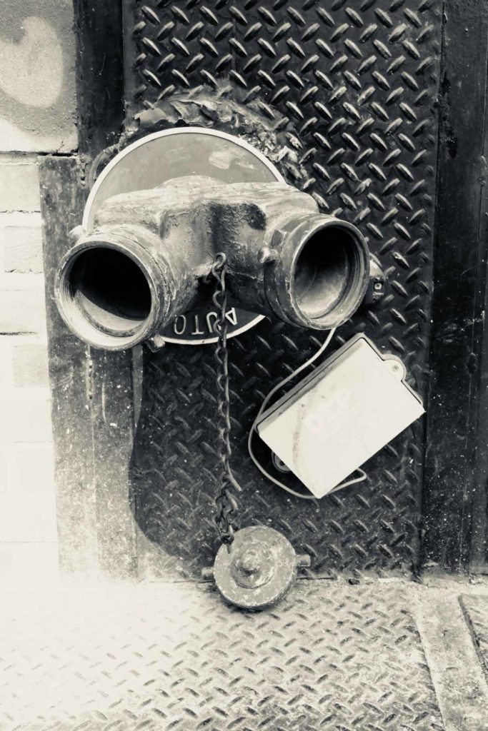 Two for One: The Siamese Connections of SoHo Broadway — SoHo Broadway ...